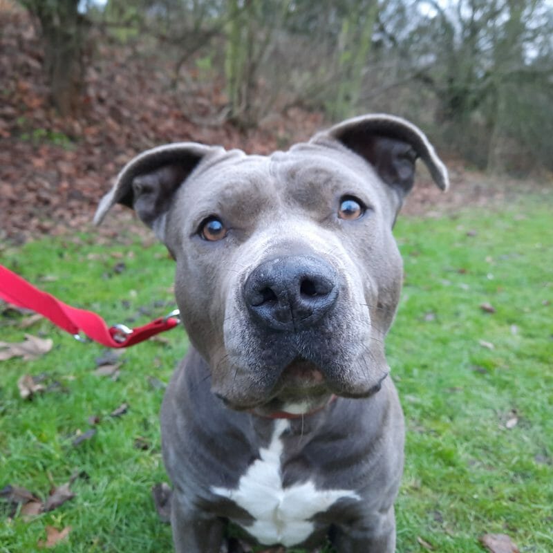 Lotti4 – Tierheim Leipzig