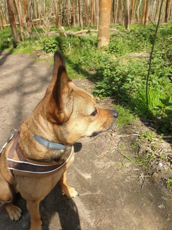 20210425_152658 – Tierheim Leipzig