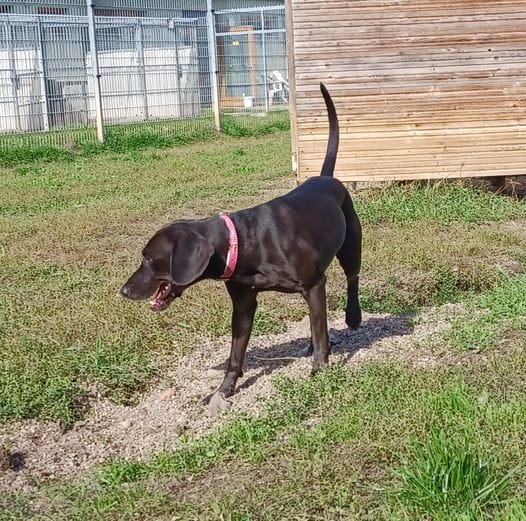 May3 – Tierheim Leipzig